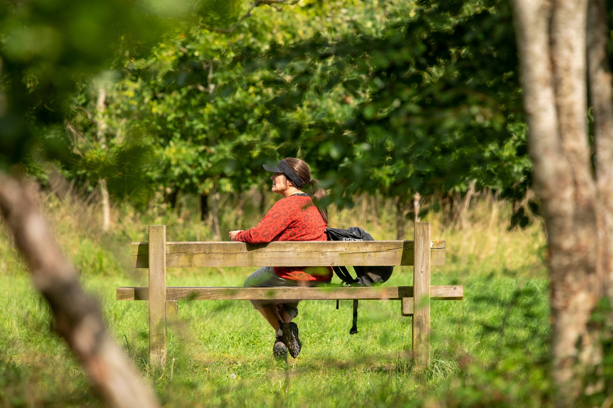 Forestry England dedication benches | Forestry England